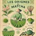 Le Matcha : Origine, tradition et provenance